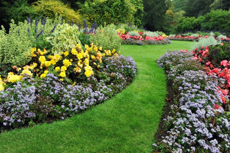 The Impact of Yards in a Property’s Market Value - Catherine Feeny